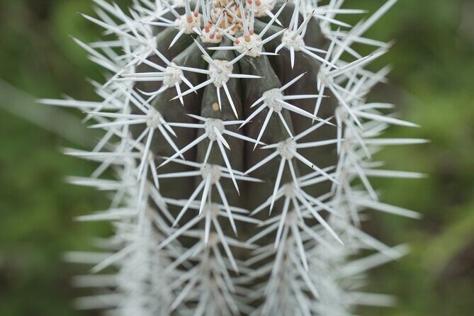 4 hour Individual Island Tour for 1 to 12 persons - An In-Depth Look at the Bonaire 4-Hour Tour