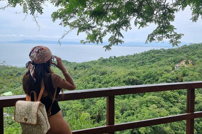 4-Hour Jungle Hike and Waterfall Swim - The Cost and Value