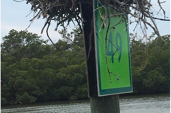 4 Hour Keewaydin Island Beach Tour - What Makes This Tour Special?