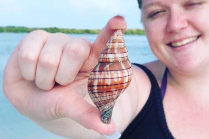 4 Hour Kice Island Shelling Trip - What to Expect from the Kice Island Shelling Trip