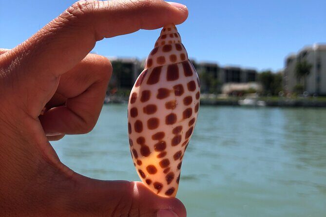 4 Hour Kice Island Shelling Trip - FAQ