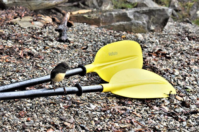 4-hour Lake Mapourika Kayak and Hike adventure, with Okarito Kiwi Sanctuary - Who Would Love This?