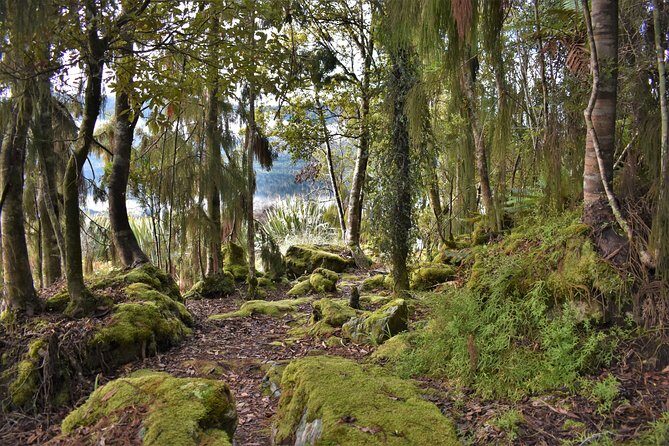 4-hour Lake Mapourika Kayak and Hike adventure, with Okarito Kiwi Sanctuary - Authentic Experiences Based on Real Reviews