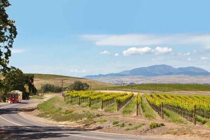 4 Hour Livermore Valley Wine Tour - A Fun Way to Tour Livermore Valley’s Wineries