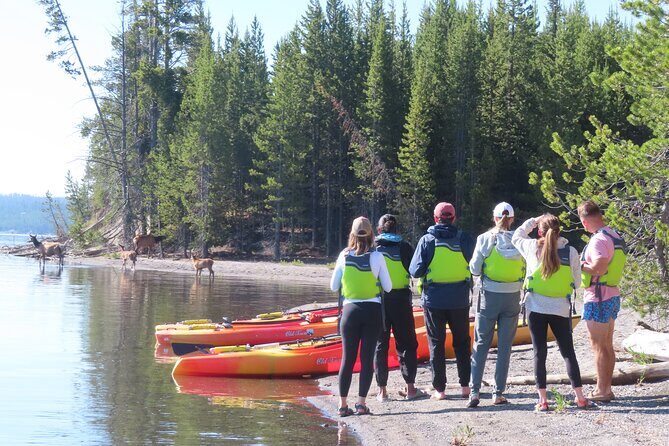 4-Hour Morning Kayak on Yellowstone Lake with Lunch - The Sum Up