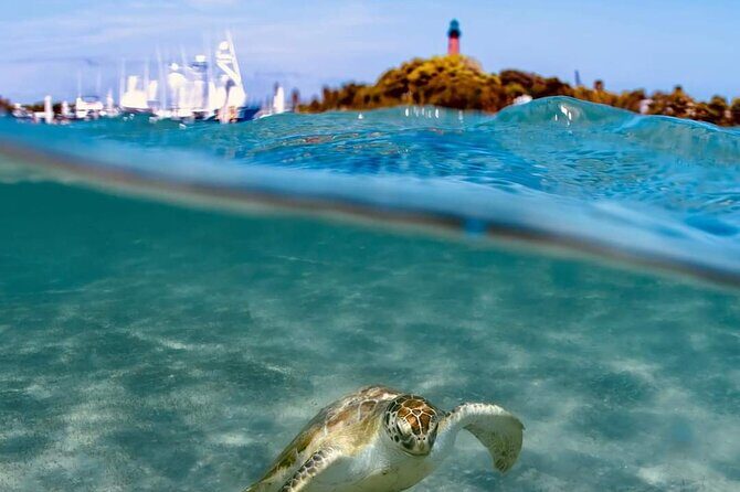 4 Hour Narrated Sightseeing Tours & Sunset Trips: West Palm Beach - Real Traveler Insights and What They Value