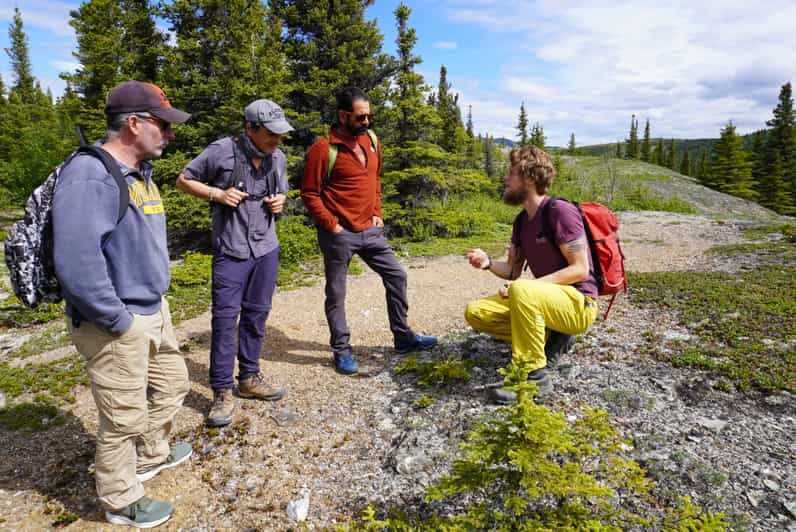 4 Hour Off-Trail Wilderness Wonders Tour in Denali - An In-Depth Look at the Wilderness Wonders Tour