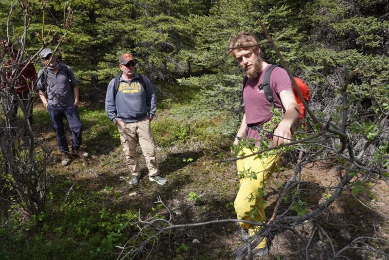 4 Hour Off-Trail Wilderness Wonders Tour in Denali - Who Would Love This Tour?