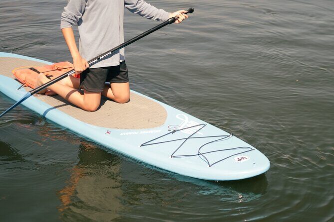 4 Hour Paddle Board Rental - Introduction: What Makes This Paddleboard Rental Special?