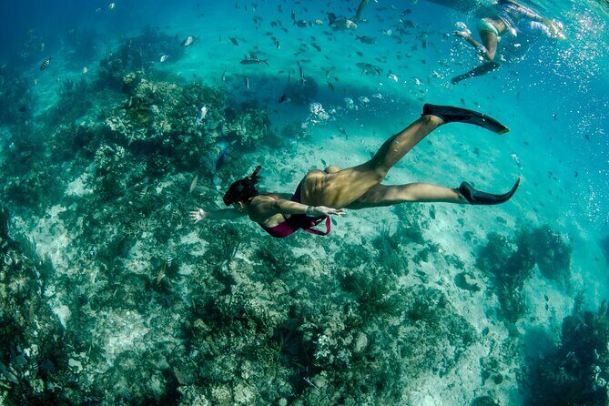 4 hour Private Boat charter to Stingray City, Snorkeling and More - Final Thoughts