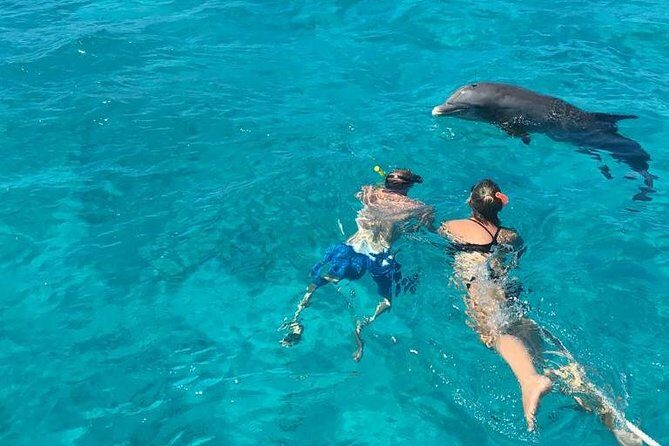 4 Hour Private Catamaran Sail and Snorkel from Grace Bay Beach, Providenciales - Authentic Guest Perspectives