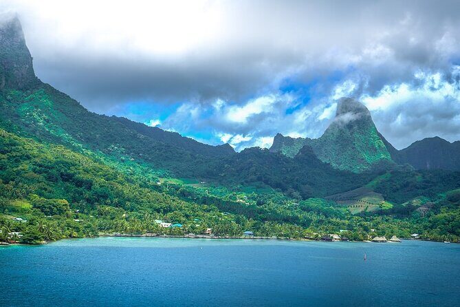4 Hour Private Humpback Whales Encounter in Moorea - FAQs