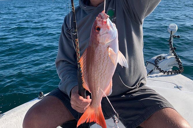 4-Hour Private Near-Shore Fishing Charter from Orange Beach - Key Points