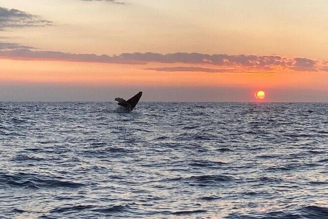 4 Hour Private Sunset Fishing Charter - Final Thoughts: Is This the Right Choice for You?