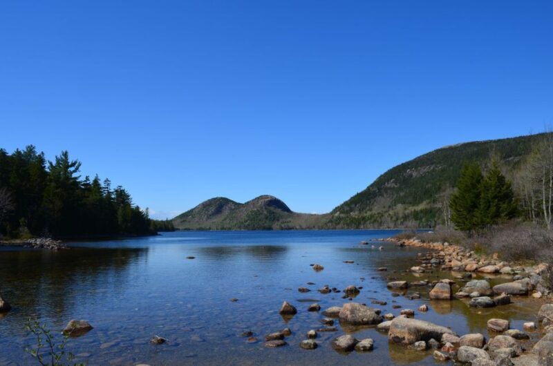 4 Hour Private Tour: Acadia, Fjord, Gardens & Mansions - Key Points