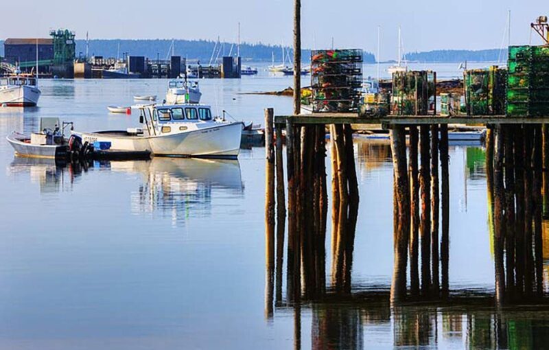 4 Hour Private Tour: Acadia, Fjord, Gardens & Mansions - Who Should Consider This Tour?