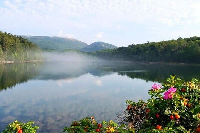4 Hour Private Tour: Explore Acadia Nat'l Park, Fjord & Mansions - The Experience: What It Feels Like