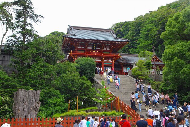 4-hour Private Tour of Kamakura with Government-Licensed Guide - Value for Money: Is It Worth It?