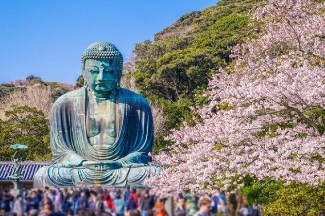4-hour Private Tour of Kamakura with Government-Licensed Guide - Practical Tips for Participants