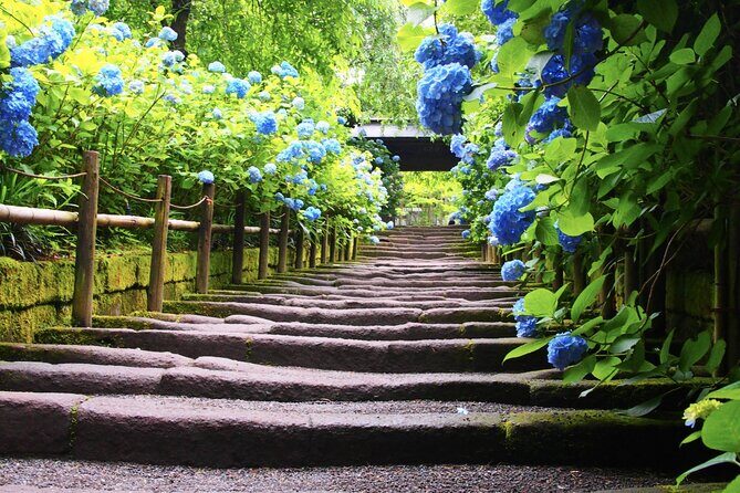 4-hour Private Tour of Kamakura with Government-Licensed Guide - Who Will Love This Tour?