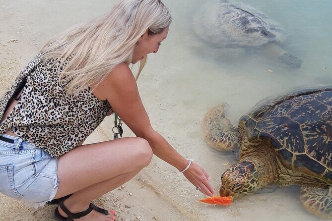 4 Hour: Private Tropical Trio Excursion (with Hotel Pickup) - Who Should Consider This Tour?