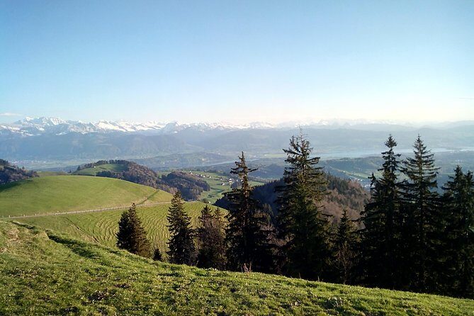 4-hour Quad Tour near Zurich - Key Points