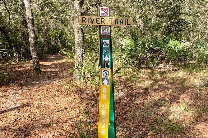 4-hour Rental Mountain Bike Experience - Introduction
