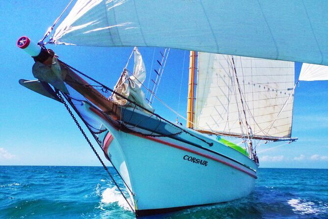 4-hour snorkel cruise to Underwater Sculptures with boat dogs - A Full Breakdown of the 4-Hour Snorkel Cruise