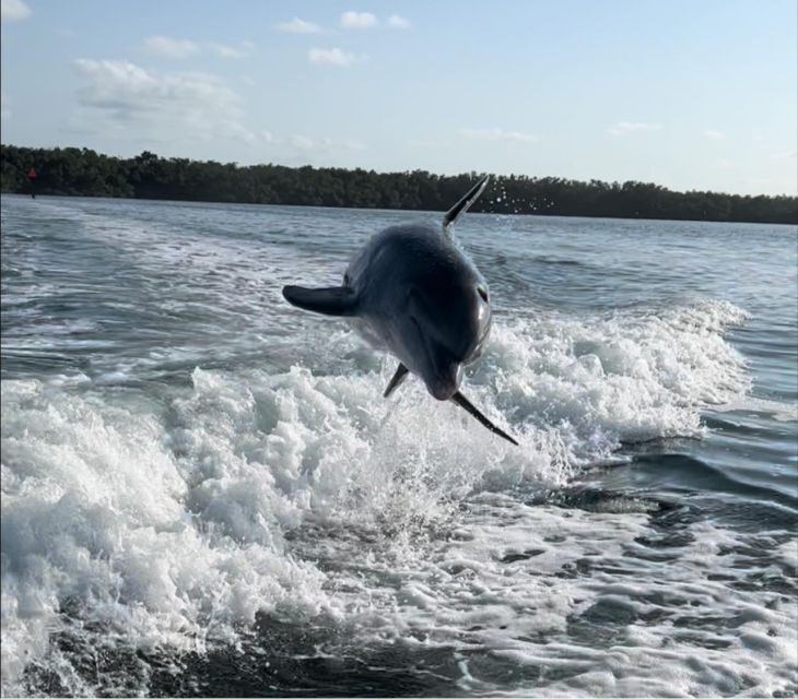 4 Hour  Snorkel & Sandbar Adventure - Authentic Feedback from Travelers