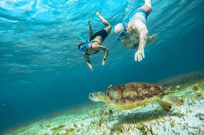 4 Hour Snorkeling Tour in Cozumel - Pricing and Value