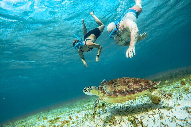 4 Hour Snorkeling Tour in Cozumel - Authentic Experiences and Real Traveler Feedback