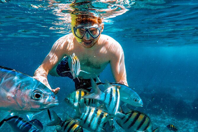 4 Hour Snorkeling Tour in Cozumel - The Sum Up