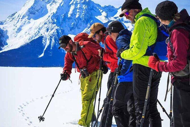 4 hour Snowshoe in Grand Teton National Park - Practical Details & Tips