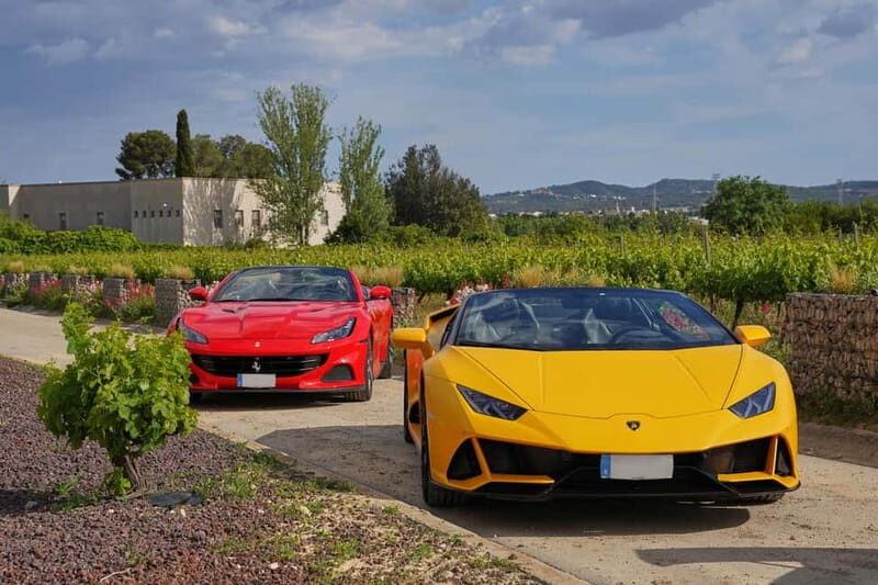 4-Hour Supercar Route to a Catalan Winery from Barcelona - Key Points