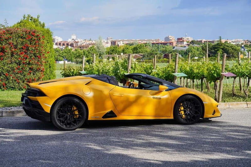 4-Hour Supercar Route to a Catalan Winery from Barcelona - What’s Noteworthy: Pros and Cons