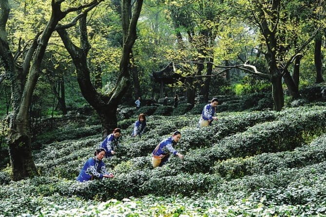 4-Hour Suzhou Private Tour: Humble Administrators Garden,Tiger Hill and Canal - FAQ