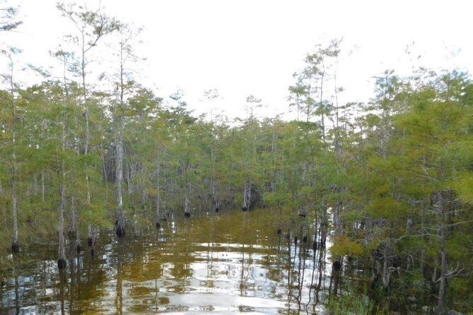 4-Hour Swamp Buggy Adventure Tour in Florida - Key Points