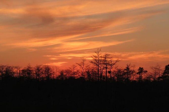 4-Hour Swamp Buggy Adventure Tour in Florida - The Experience You’ll Love and What to Consider