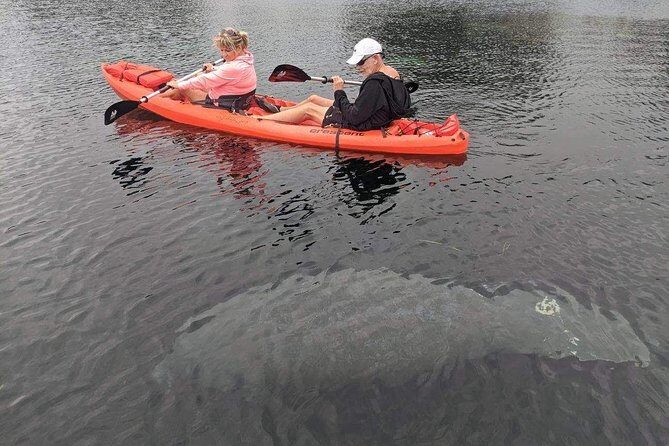 4 Hour Tandem Kayak Rental For Two People In Crystal River, Florida - Why Choose a Tandem Kayak Experience in Crystal River?