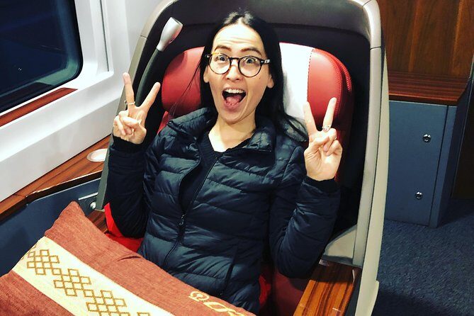 4-Hour Tianjin Shore Excursion to Shijia Mansion with Bullet Train Experience - Who Should Book This Tour?