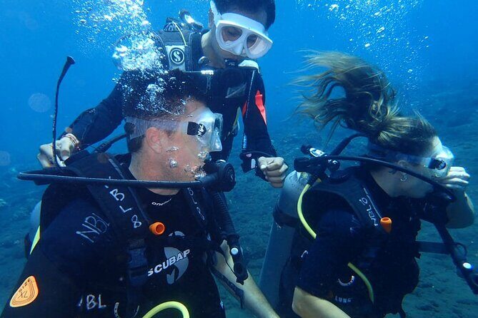 4-Hour Tulamben Private Diving USAT Liberty Ship Wreck and Coral - Key Points