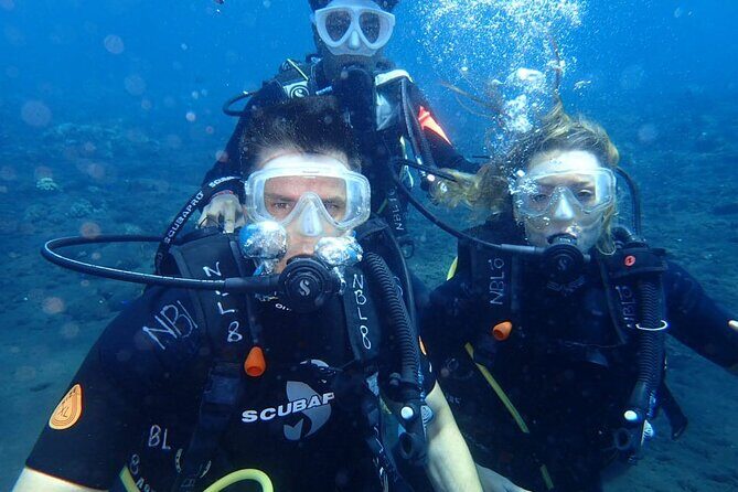 4-Hour Tulamben Private Diving USAT Liberty Ship Wreck and Coral - What Makes This Tour Stand Out?
