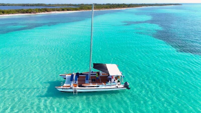 4 Hour Turtle Sanctuary Experience on a Luxury Catamarán - FAQ