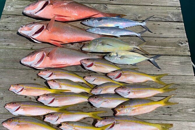 4 hours 34ft Day Dream Private Charter in Nassau - Who Should Consider This Tour?