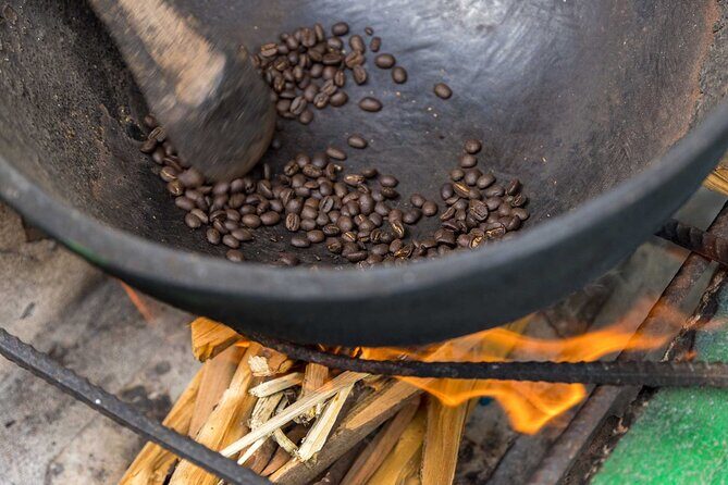 4-Hours Bike, Hike & Waterfall Tour in Blue Mountain with Lunch and Pick Up - An In-Depth Look at the Tour Experience