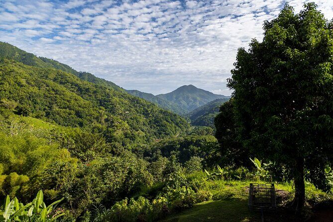 4-Hours Bike, Hike & Waterfall Tour in Blue Mountain with Lunch and Pick Up - Who This Tour Is Best For