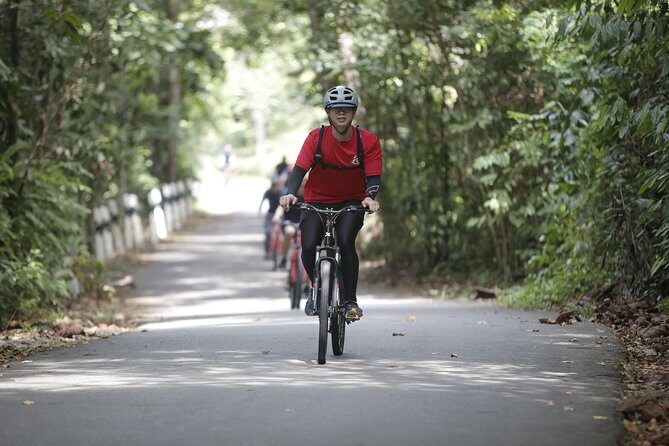 4 Hours Cycling in the Nature at Pulau Ubin Singapore - What’s Included and What’s Not?