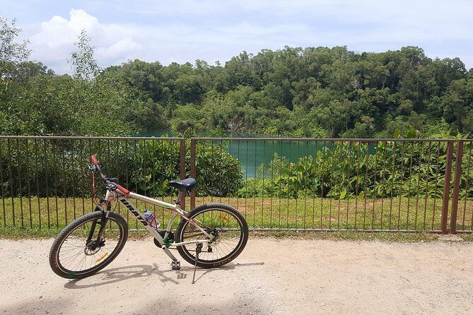 4 Hours Cycling in the Nature at Pulau Ubin Singapore - Final Thoughts: Who Should Consider This Tour?