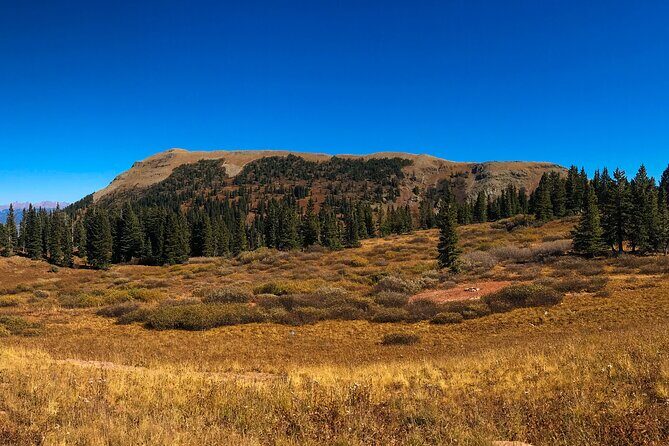 4 Hours Durango Colorado - Jeep Tour - Detailed Breakdown: What Makes This Tour Special