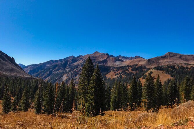 4 Hours Durango Colorado - Jeep Tour - Authentic Experiences and Real Traveler Feedback